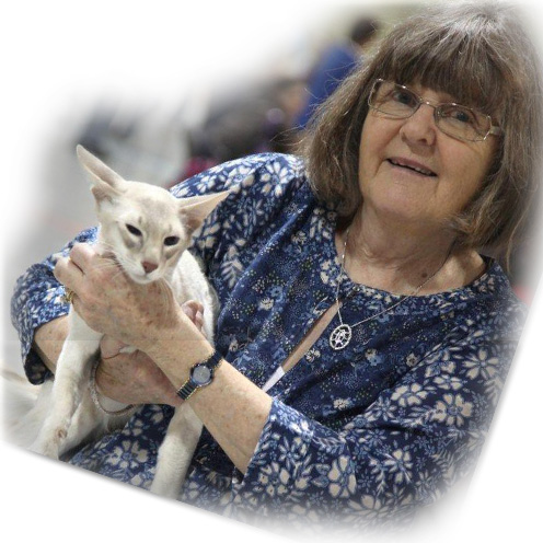Contact | Calgary Cat Show - April 12-13, 2025