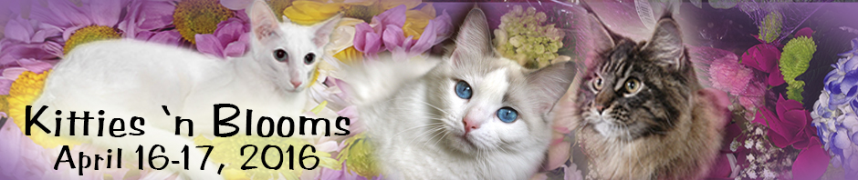 Calgary Cat Show | Calgary Cat Association - A TICA Member Club
