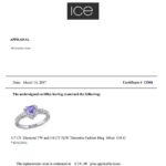 Calgary Cat Show | Calgary Cat Association - A TICA Member Club