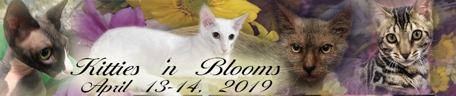 Spectators | Calgary Cat Show